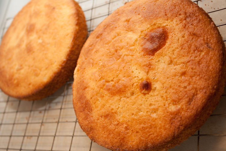 Sandwich sponges | Cake and Cookie Recipes